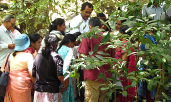 Gardening and Field Botany